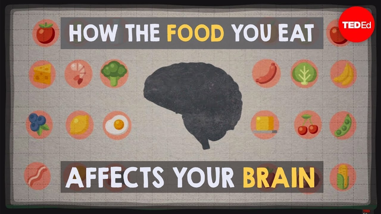 How food affects our brain? – Health Video Tips